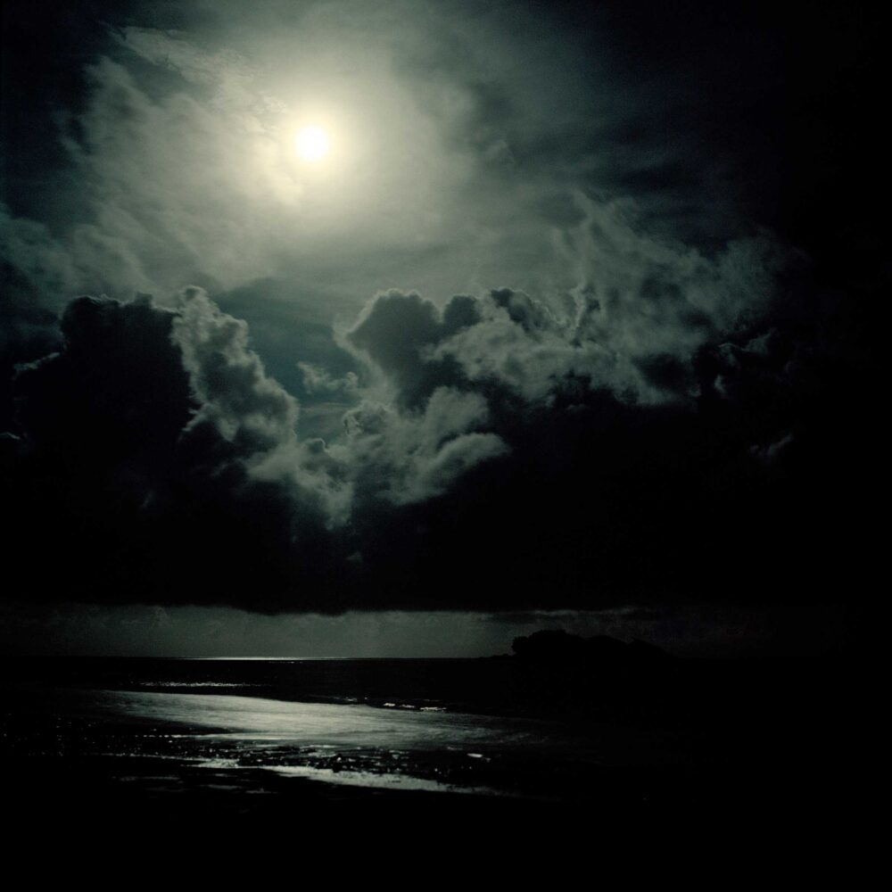 Jane Burton | Artist