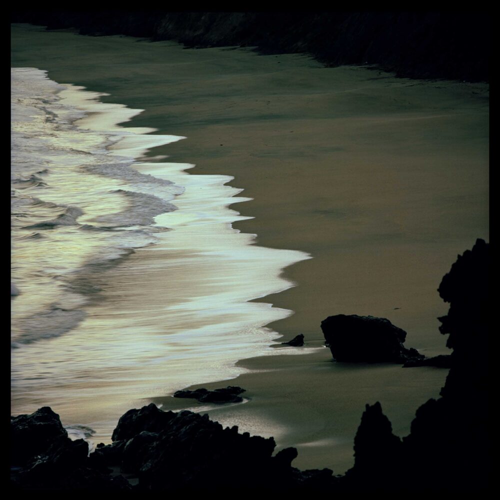 Jane Burton | Artist